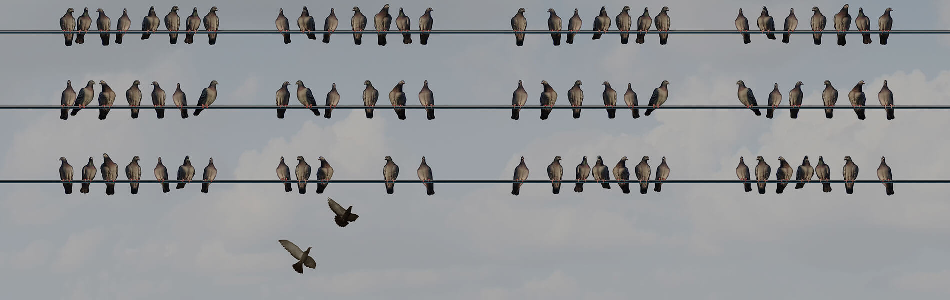 A Guide to Strategic Alignment and Execution