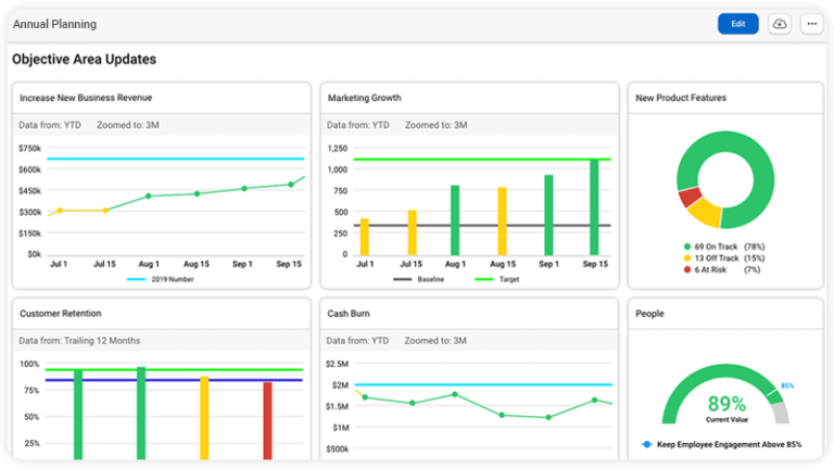Strategic Planning Software Solution for Plan Leaders